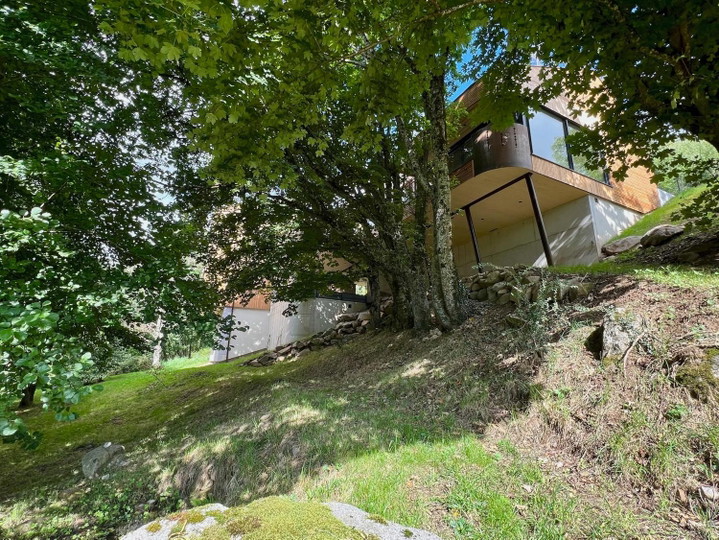Chalet Les Frangines - Metzeral