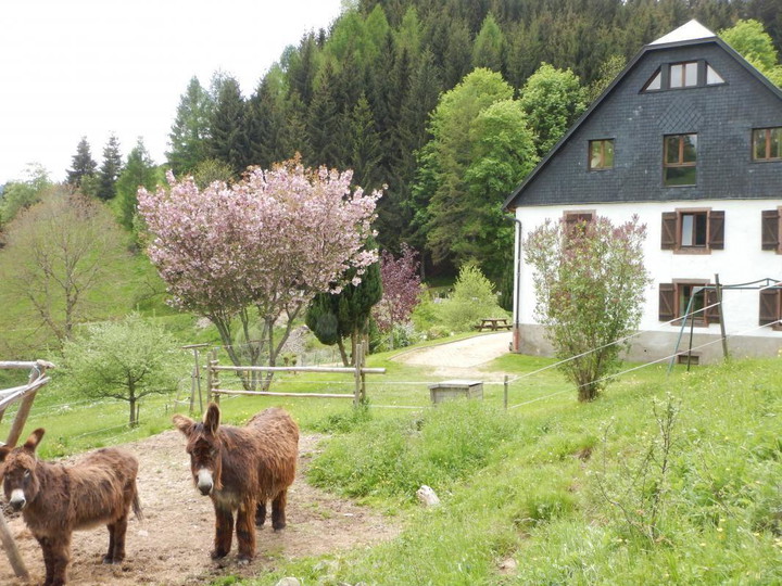 Chez Kosso - Lapoutroie