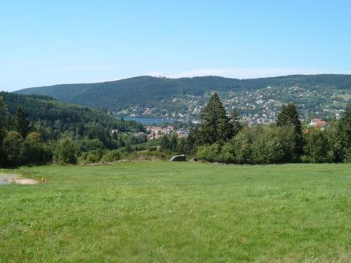 Gîte De La Goutte Choine - La Bresse