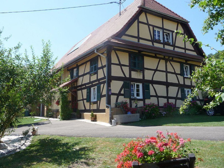 Les Hortensias - Haut-Rhin