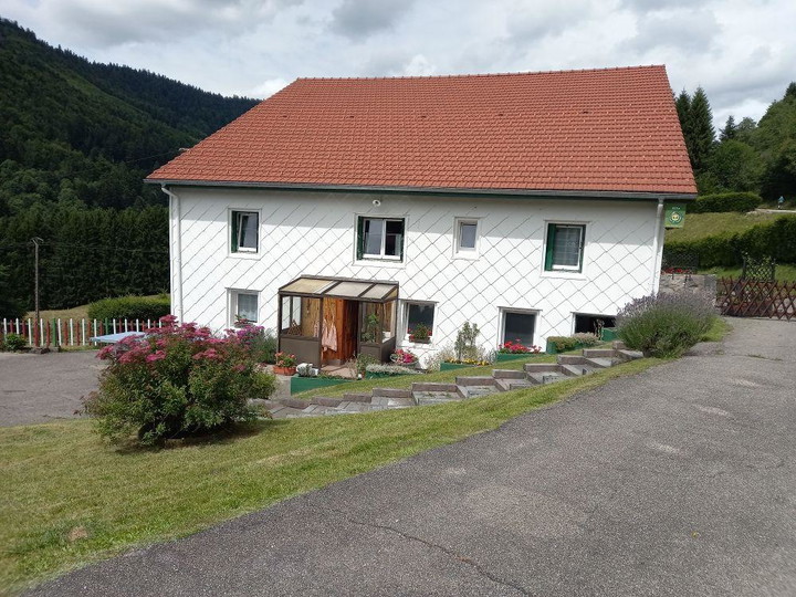 Le Lynx - La Bresse