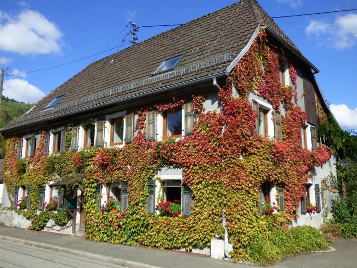 Gîte Des Marguerites - Haut-Rhin