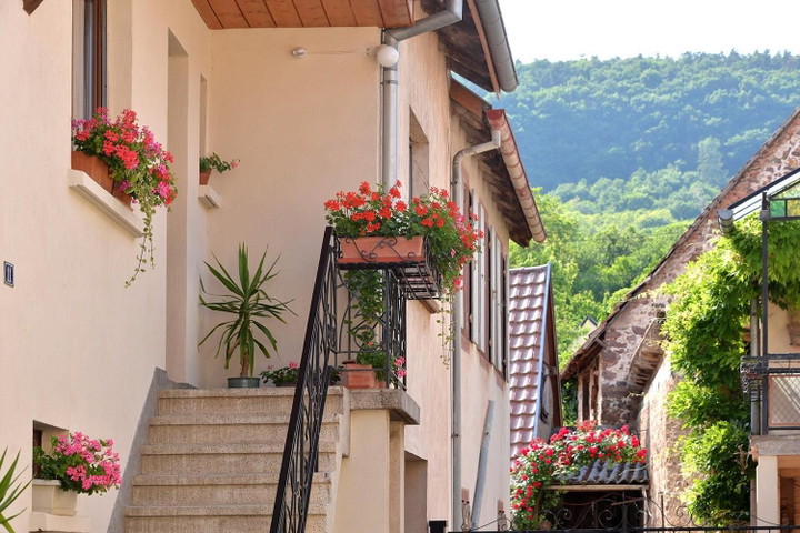 Le Gîte De Marguerite - Eguisheim