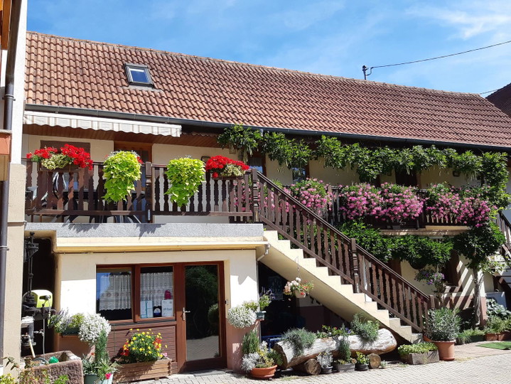 Gîte Côté Cour - Wasselonne