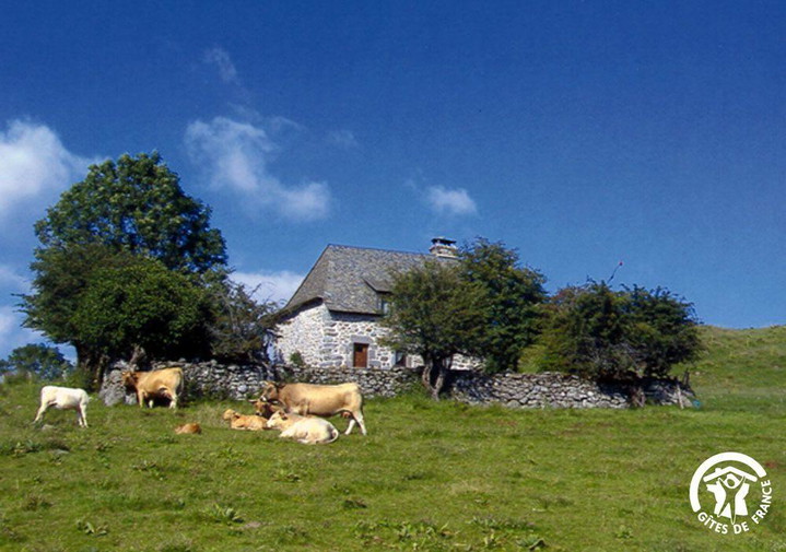 Maisonnette Proche De La Ferme - Laguiole