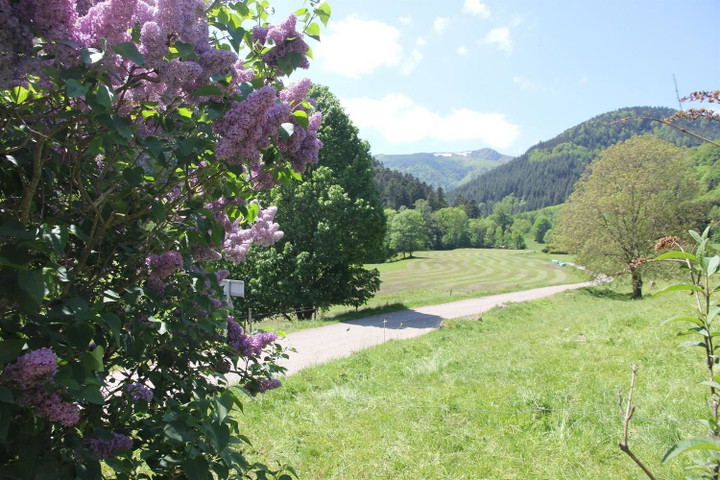"D'r Hoïstock" - Haut-Rhin
