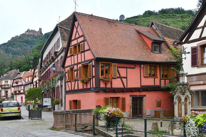 Gîte Vigne En Fleur - Ribeauvillé