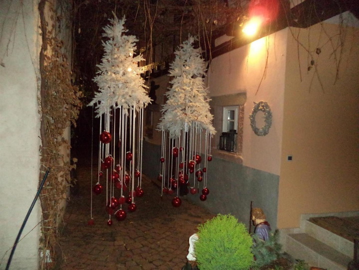Loft Du Lakmi - Bergheim, France