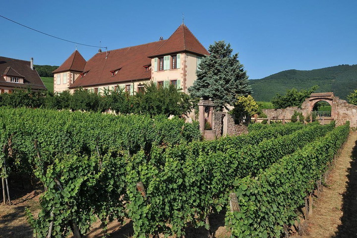 Le Gewurtz - Colmar