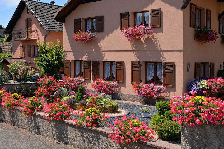 Gîte De La Fontaine - Benfeld