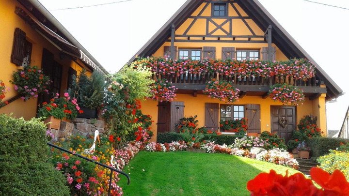 S'hiisla 68g4782 - Colmar