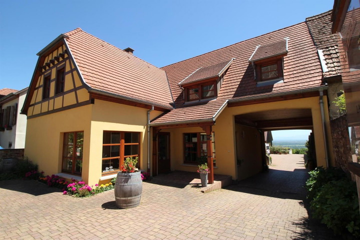 Les Terrasses Vigneronnes - Eguisheim
