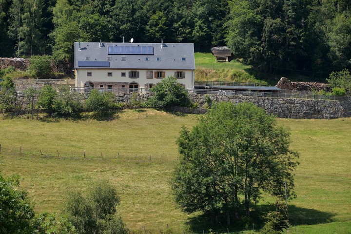 Les Mésanges D'orbey - Orbey