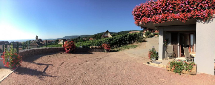 Gite Altermatt 3983 - Eguisheim