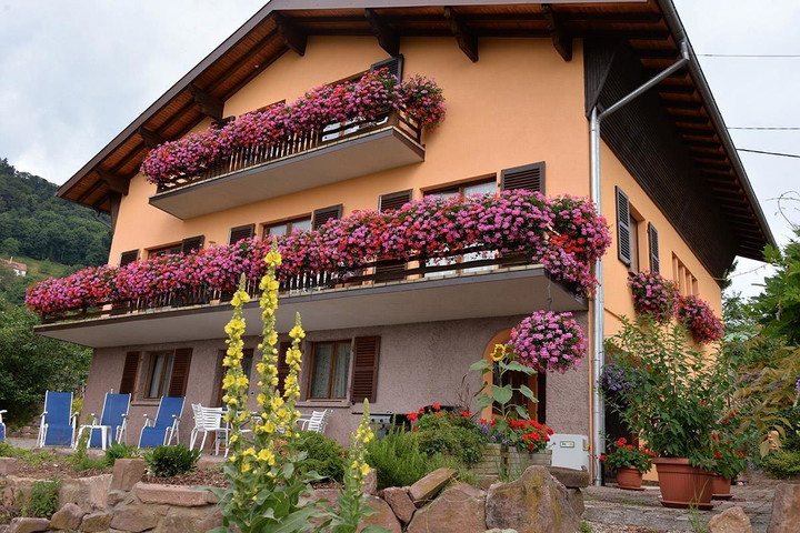 Kirsch - Bergheim, France