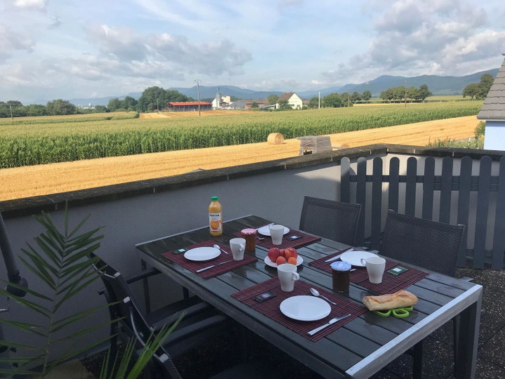 Aux Portes Du Ried - Dambach-la-ville