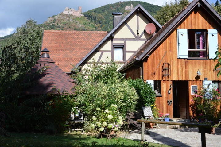 Des Ecureuils - Bergheim, France