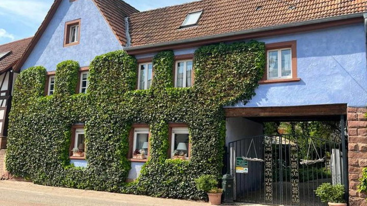 80 M² Hotel ∙ 1 Bedroom ∙ 3 Guests - Annweiler