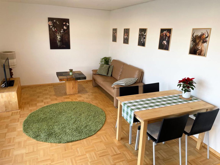 50 M² Apartamento ∙ 1 Habitación ∙ 2 Huéspedes - Grenzach-Wyhlen