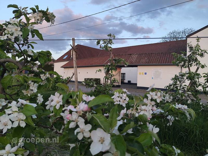 Maison De Vacances ∙ 6 Chambres ∙ 16 Personnes - Hasselt