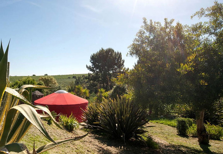 Camping ∙ 1 Chambre ∙ 4 Personnes - Alcobaça