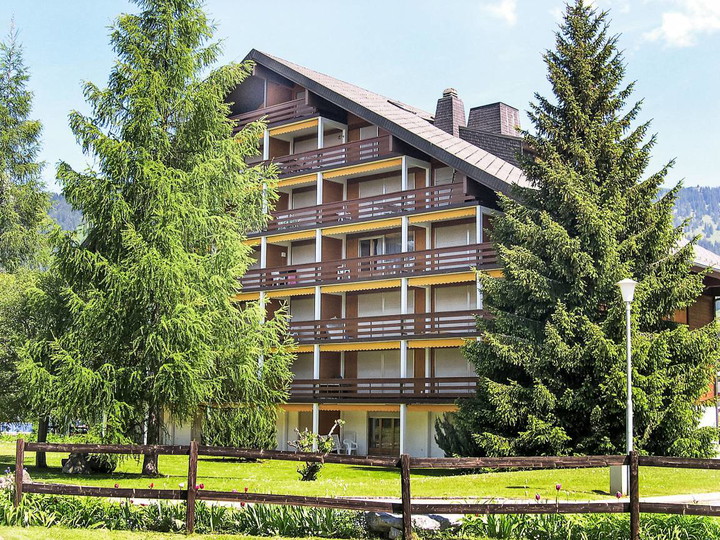 23 M² Apartment ∙ 1 Bedroom ∙ 2 Guests - Les Diablerets