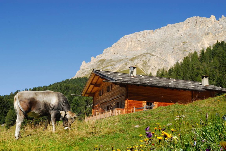 75 M² Chalet ∙ 3 Bedrooms ∙ 8 Guests - Predazzo