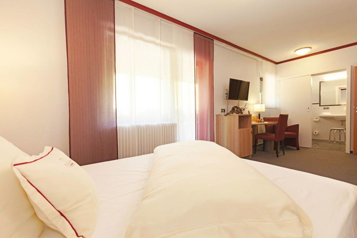 Private Room ∙ 1 Bedroom ∙ 2 Guests - Baden-Baden