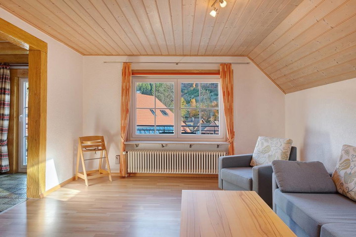 85 M² Apartment ∙ 1 Bedroom ∙ 4 Guests - Schiltach