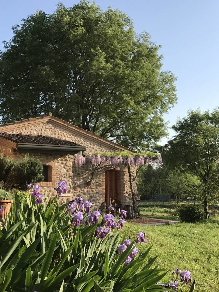 Casa Rural ∙ 1 Habitación ∙ 3 Huéspedes - Valeggio sul Mincio