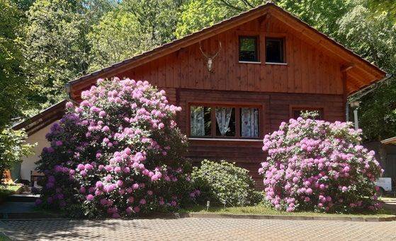 Cottage ∙ 2 Chambres ∙ 4 Personnes - Bad Salzungen