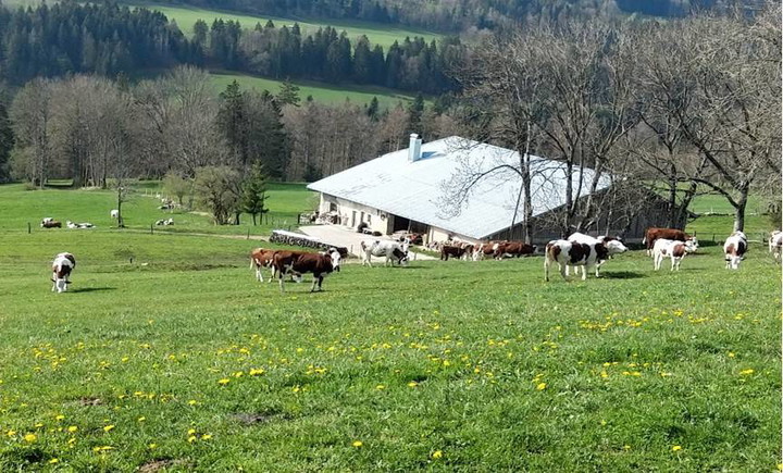 60 M² Gîte ∙ 2 Chambres ∙ 6 Personnes - Sainte-Croix