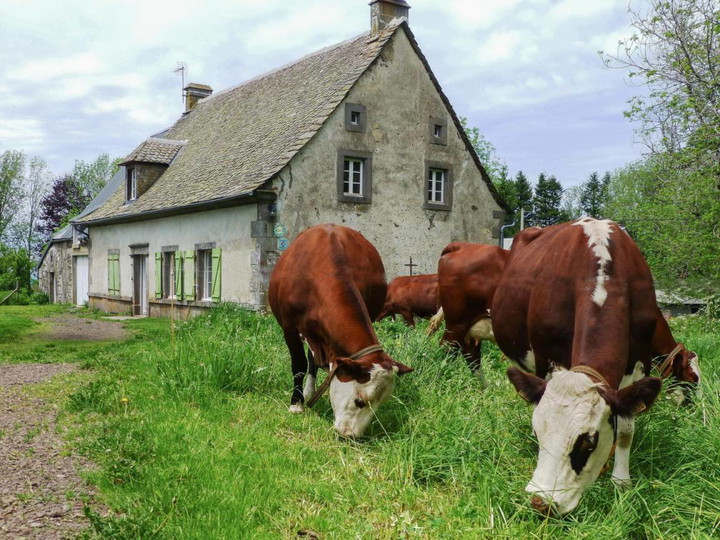 170 M² Gîte ∙ 4 Chambres ∙ 8 Personnes - La Bourboule