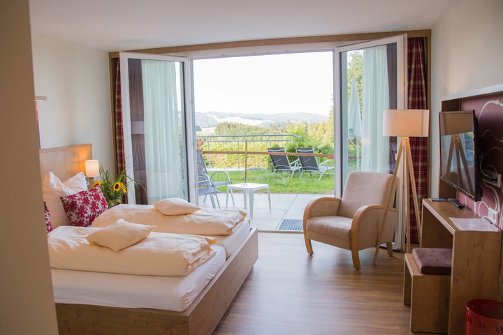 Private Room ∙ 1 Bedroom ∙ 2 Guests - Titisee-Neustadt