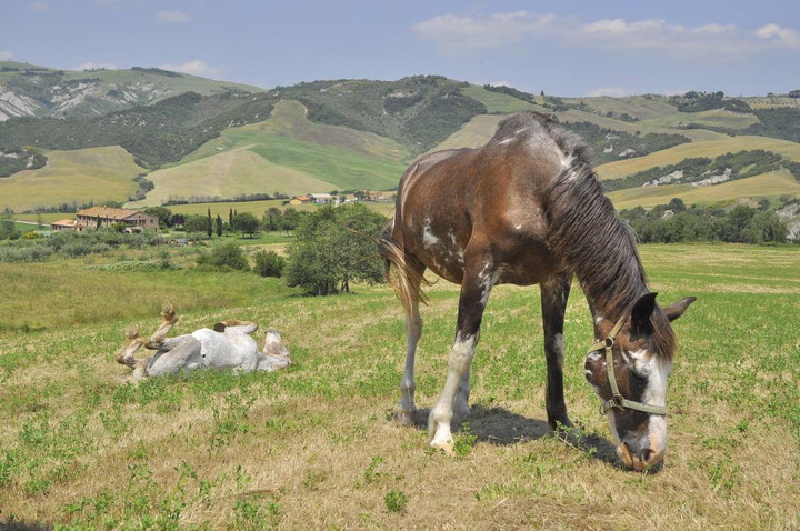 28 M² Private Room ∙ 1 Bedroom ∙ 2 Guests - Volterra