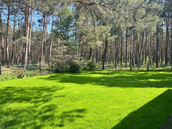 70 M² Bungalow ∙ 1 Schlafzimmer ∙ 4 Gäste - Lübbenau/Spreewald