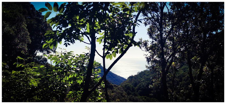 44 M² Chalet ∙ 1 Chambre ∙ 2 Personnes - Bastia