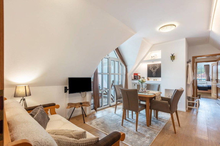 55 M² Apartment ∙ 1 Bedroom ∙ 4 Guests - Titisee-Neustadt