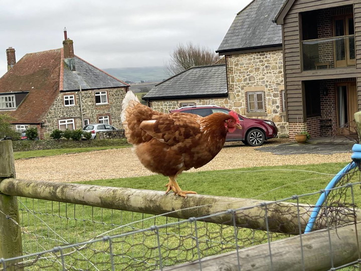 40 M² Cottage ∙ 1 Chambre ∙ 2 Personnes - Angleterre