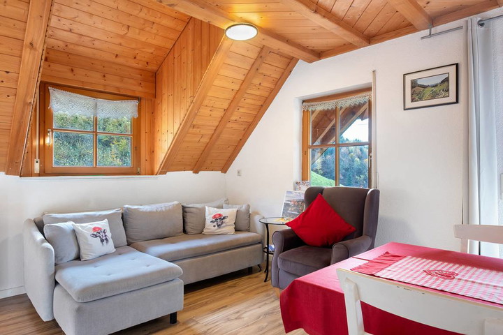 66 M² Appartamento Vacanza ∙ 2 Camere Da Letto ∙ 3 Ospiti - Gengenbach
