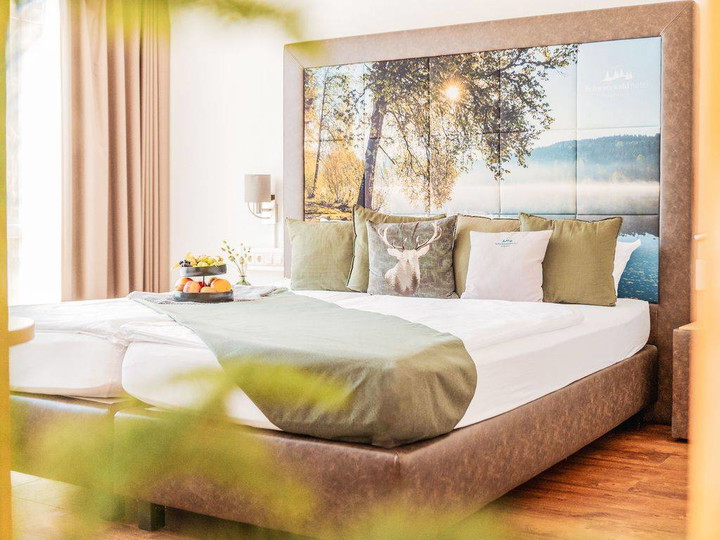 24 M² Hotel ∙ 2 Huéspedes - Gengenbach