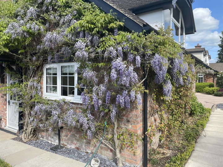 Cottage ∙ 3 Bedrooms ∙ 6 Guests - Knutsford
