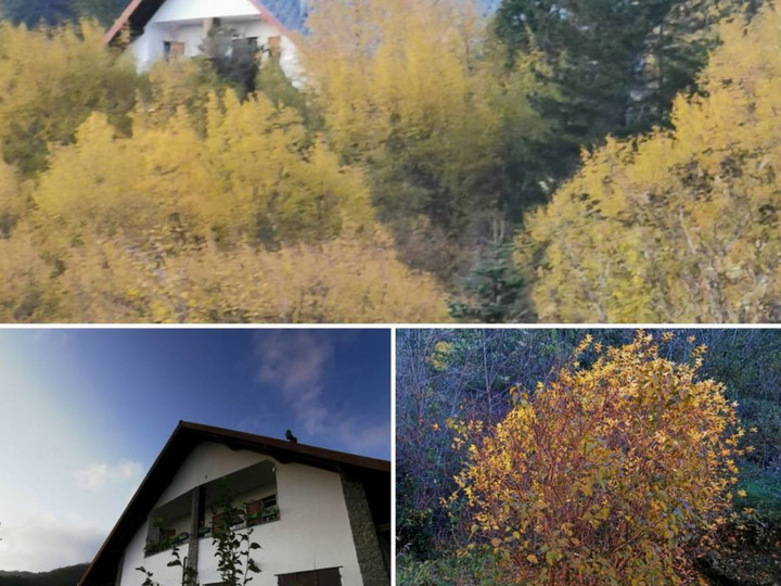 50 M² Appartement ∙ 1 Slaapkamer ∙ 3 Gasten - Santo Stefano d'Aveto