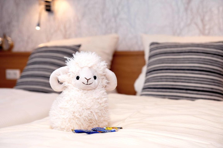 20 M² Hotel ∙ 1 Slaapkamer ∙ 3 Gasten - Soltau
