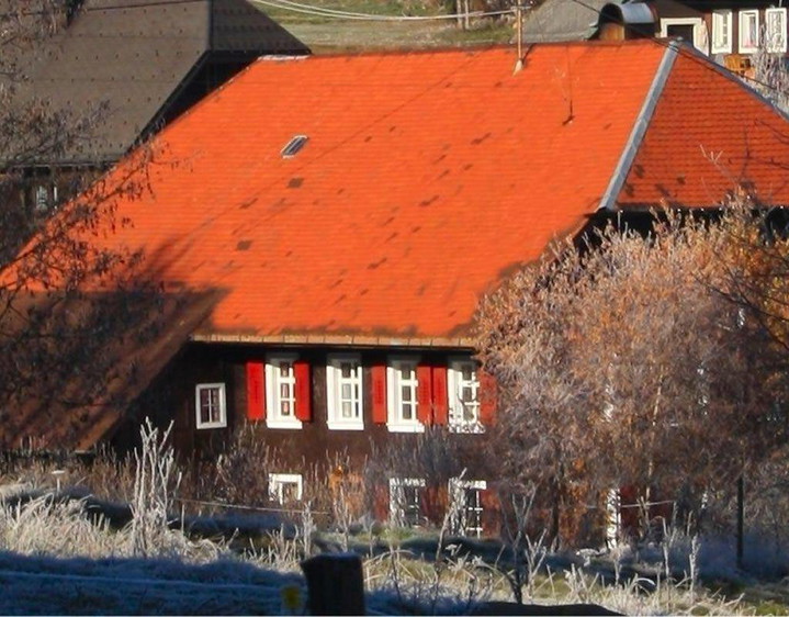 300 M² Maison De Vacances ∙ 7 Chambres ∙ 14 Personnes - Feldberg