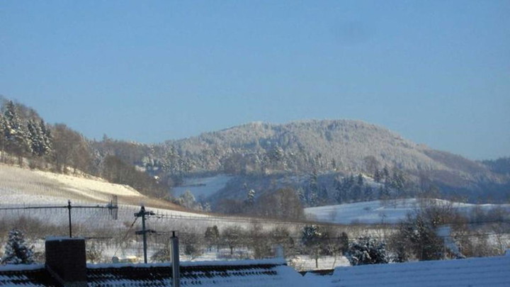 Hôtel ∙ 1 Chambre ∙ 3 Personnes - Gengenbach