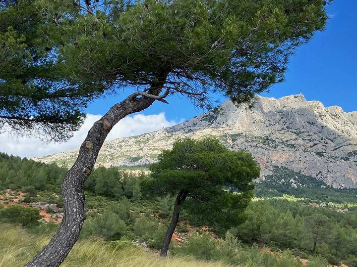 Chalet ∙ 1 Chambre ∙ 2 Personnes - Rousset