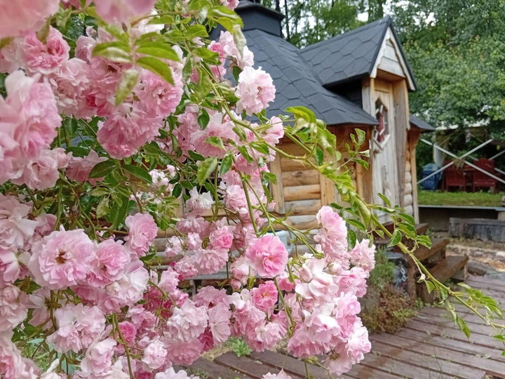 Chalet ∙ 1 Chambre ∙ 4 Personnes - Ille-et-Vilaine
