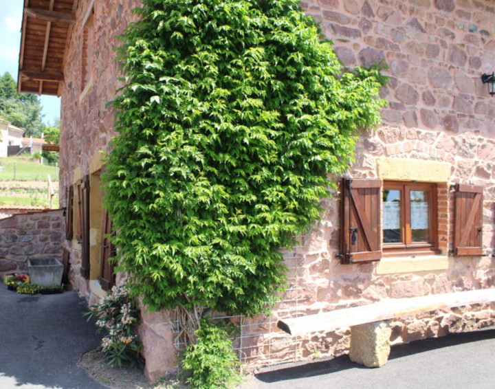 83 M² Cottage ∙ 3 Chambres ∙ 6 Personnes - Beaujolais