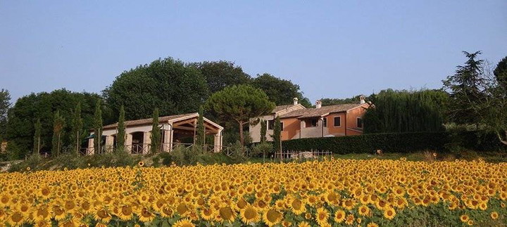 40 M² Casa Rural ∙ 1 Habitación ∙ 3 Huéspedes - Ancona